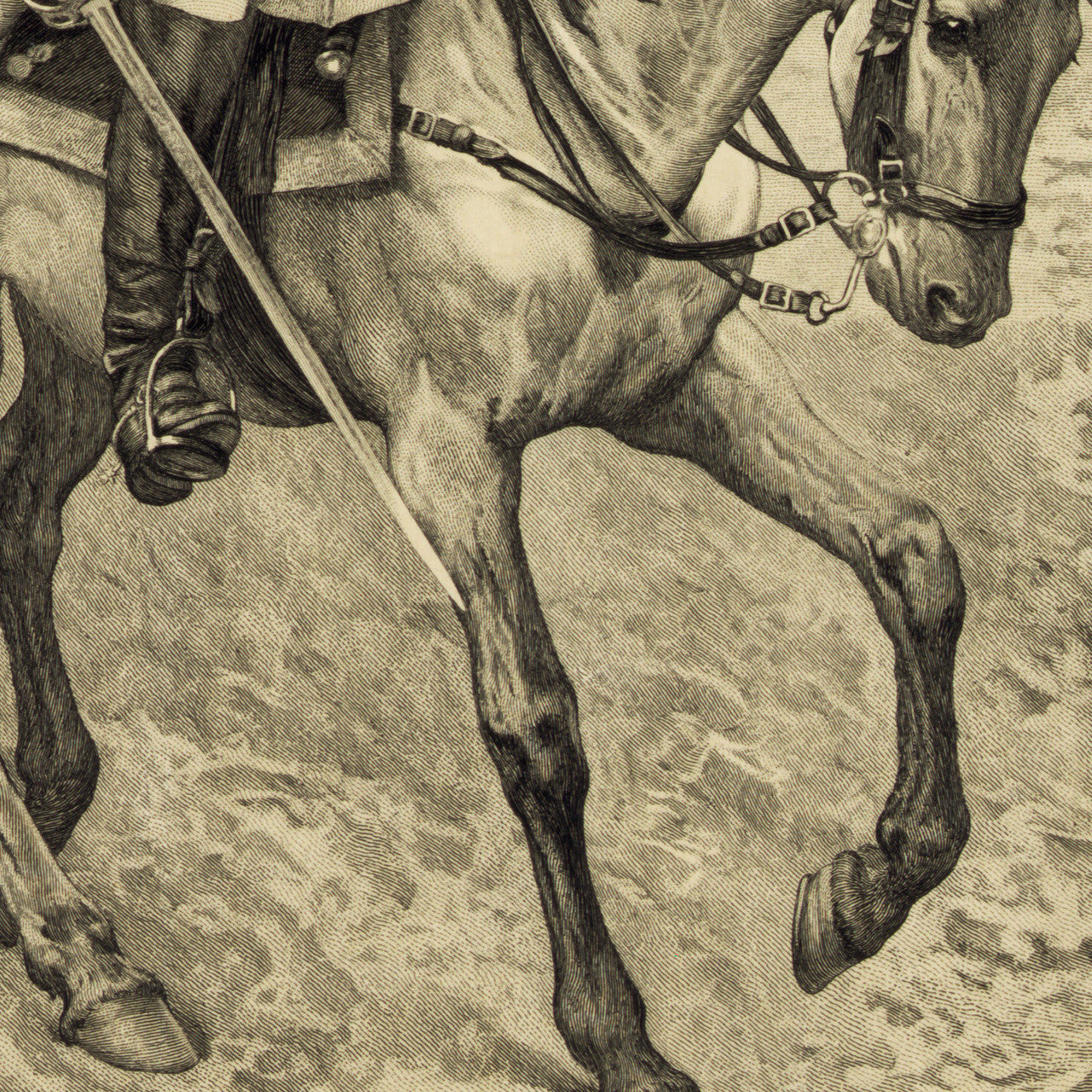 Battle of Waterloo, 1815, Napoleon’s Old Guard, Art Print | Battlemaps.us